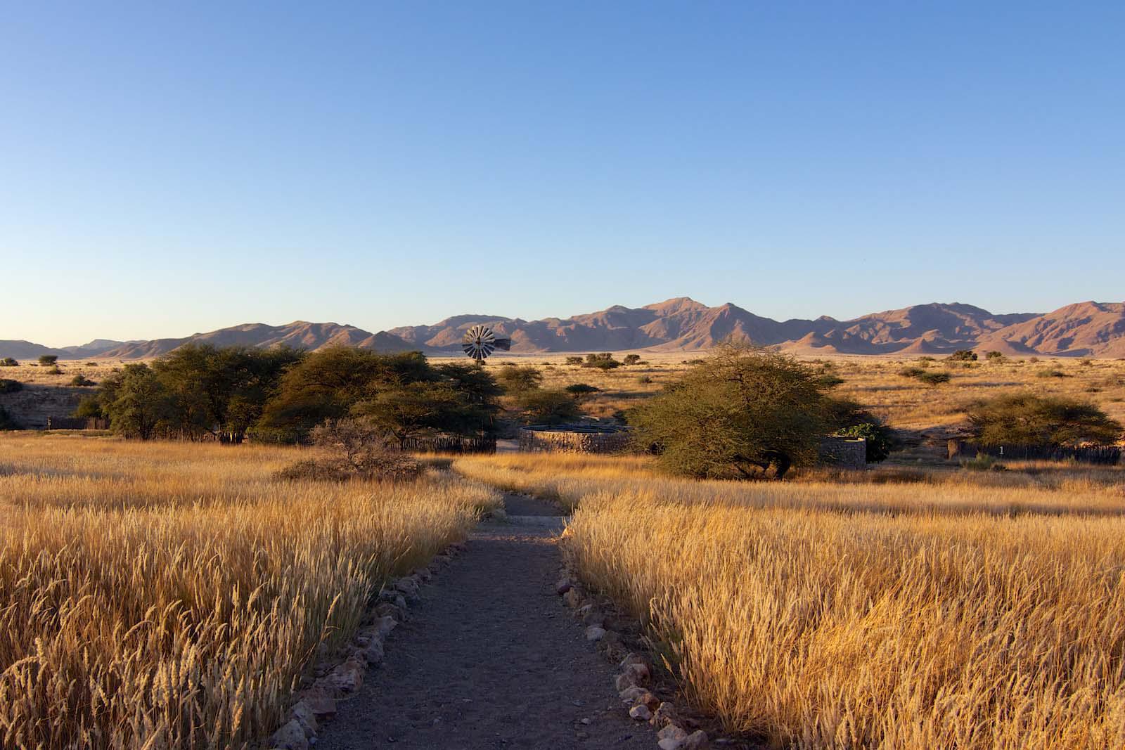 Exploring Northern Namibia - Through the Eyes of an Intern • ATI Holidays