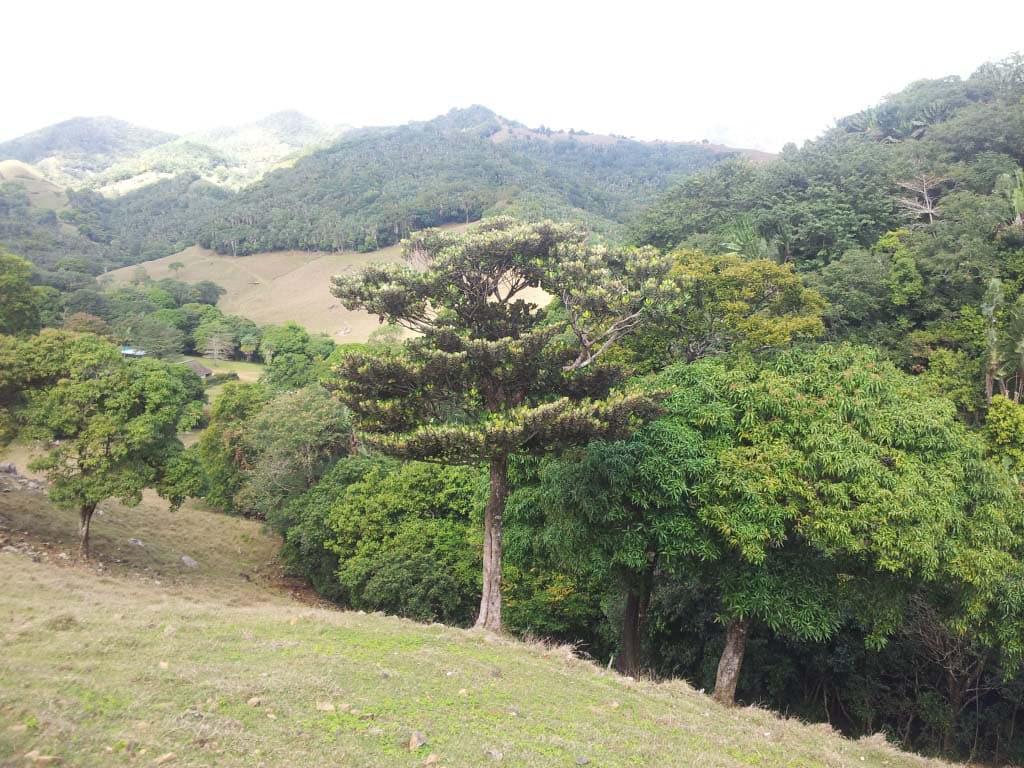 Yemen Reserve - Mauriitus Nature Reserve Tour Info | ATI Holidays